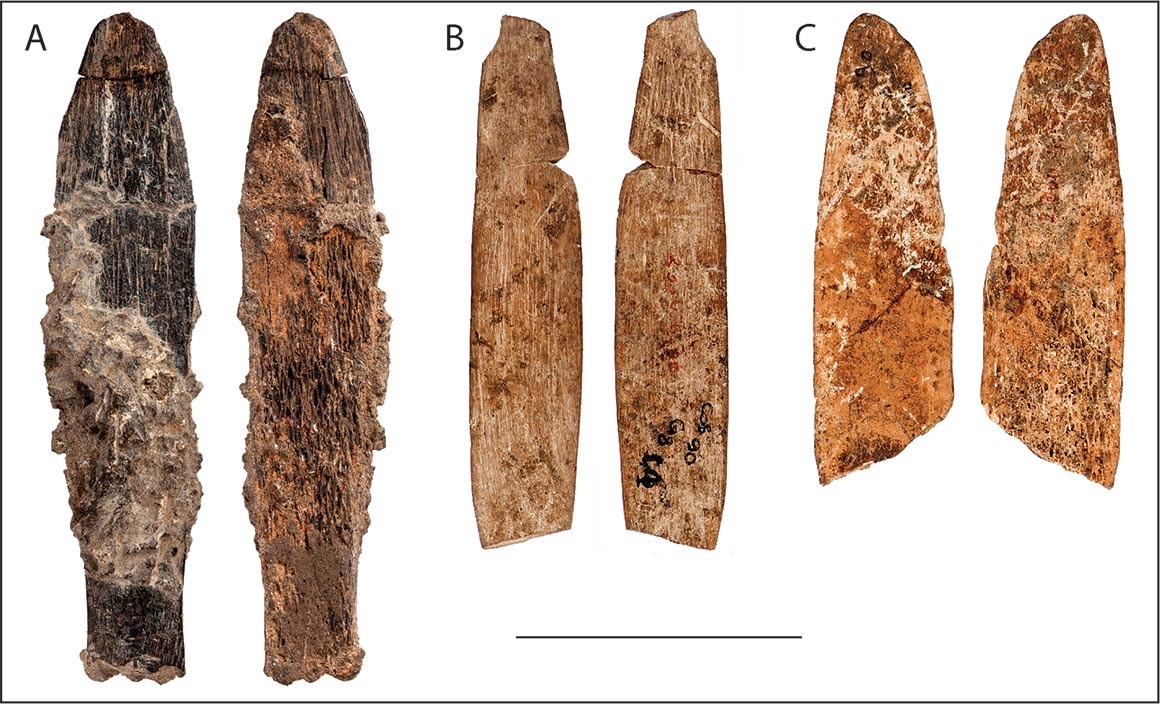 Bone knife from Morocco is the oldest specialized bone tool associated ...