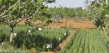 Bioarchaeology | School of Archaeology