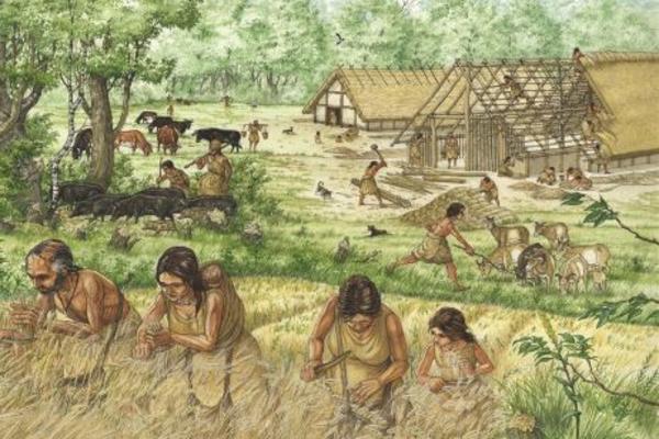 Archaeological Science Seminars | School of Archaeology