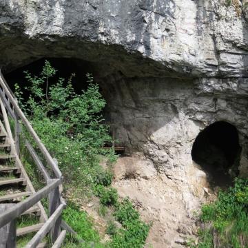 Mapping the timeline of Denisova Cave. | School of Archaeology
